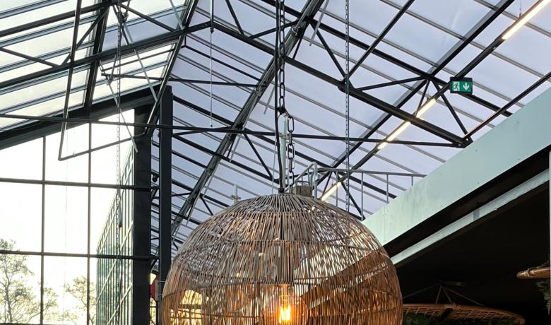 Intratuin Lisse - garden center