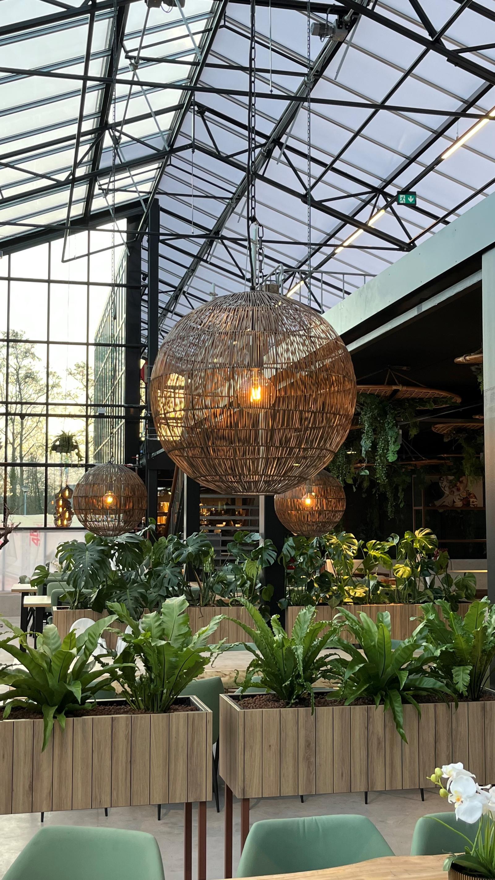 Intratuin Lisse - jardinerie